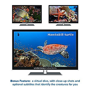 Reefscapes: Nature's Aquarium DVD, nature video of tropical fish and coral reefs filmed in the ocean, for relaxation and ambience