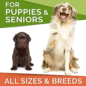 PawfectCHEW Fish Oil Omega 3 for Dogs - Allergy Relief - Joint Health - Itch Relief, Shedding - Skin and Coat Supplement - Alaskan Salmon Oil Chews - Omega 3 6 9 - EPA & DHA Fatty Acids