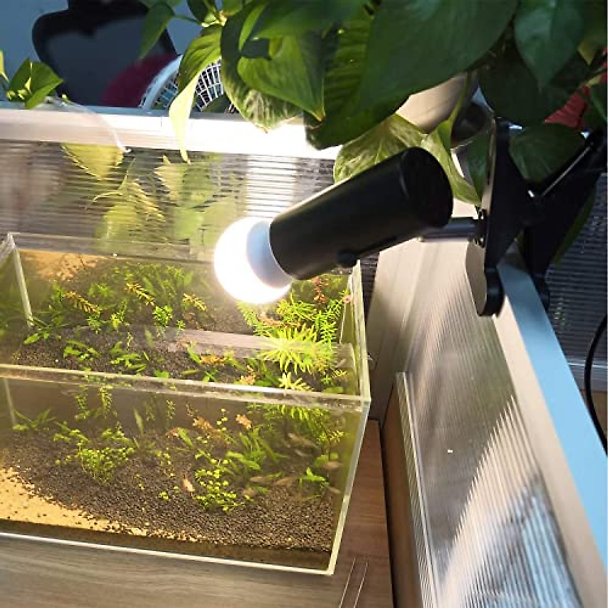 KABASI Reptile Heat Lamp Fixture with 2 Bulbs, UVA + UVB Full Spectrum Sun Lamp with 360°Rotatable Clips and Dimmable Switch, Basking Spot Heating Light Lamp for Lizard Turtle Snake Amphibian, 25W+50W