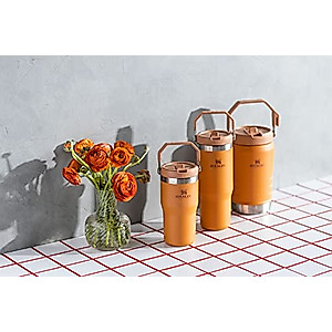 Stanley IceFlow Stainless Steel Tumbler with Straw - Vacuum Insulated Water Bottle for Home, Office or Car - Reusable Cup with Straw Leakproof Flip - Cold for 12 Hours or Iced for 2 Days (Ochre)