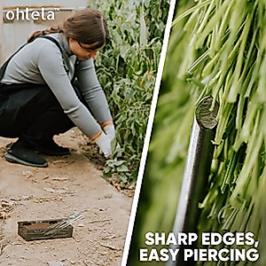 Landscape Staples 6 inch - 50 Pack Anti-Rust Metal Garden Stakes Heavy Duty with Sturdy Storage Box, 11 Gauge Ground Stakes Suitable for Anchoring Weed Barrier Fabric & Secure Irrigation Tubing