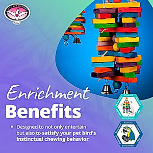 Super Bird Creations SB477 XL Woodpile Bird Toy, Large/XL Bird Size, 19" x 8"