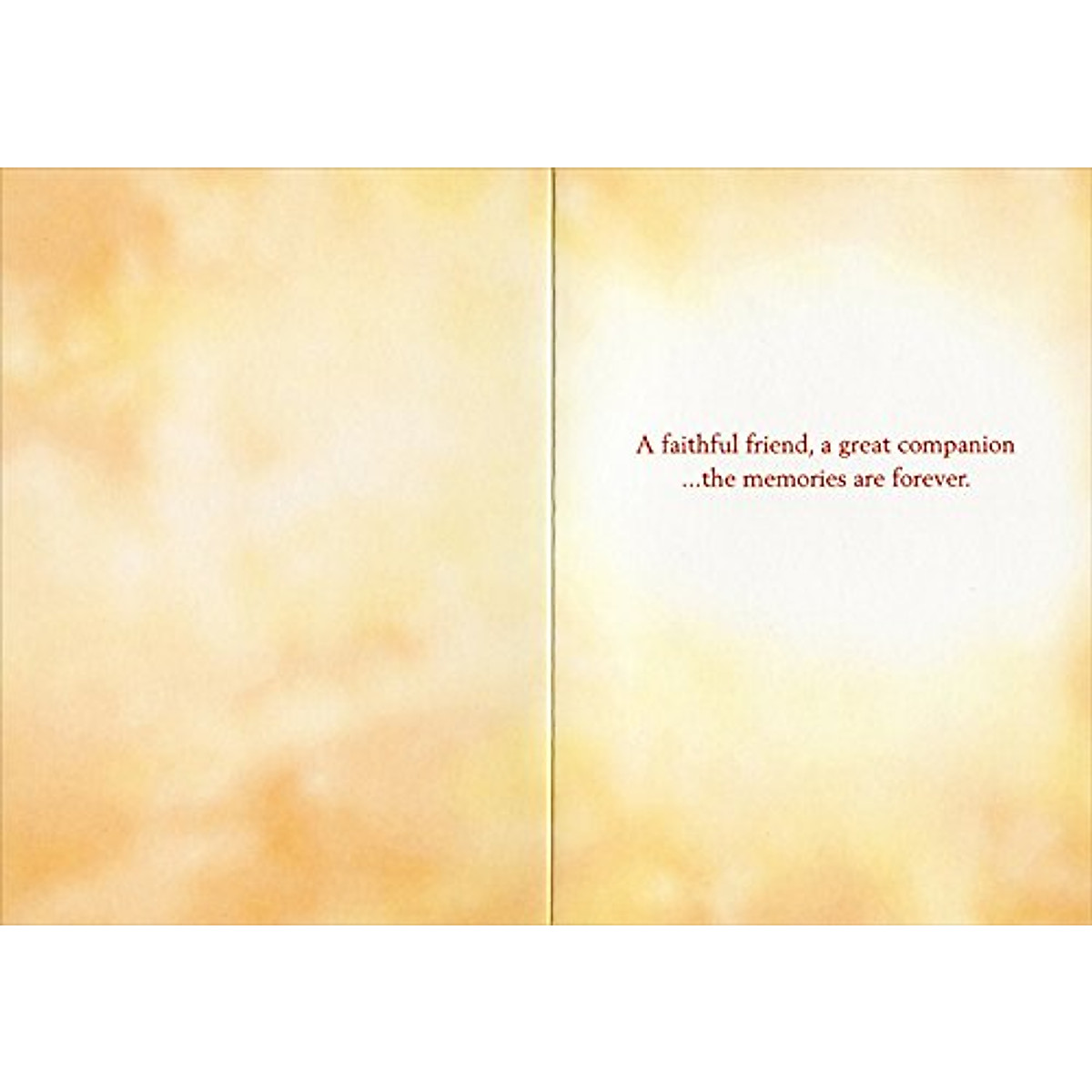 Dog Sitting On Beach At Sunset - Avanti Golden Retriever Pet Sympathy Card by Avanti Press