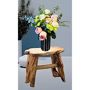 TJ Global Natural Edge Cedar Wood Tree Stump Indoor/Outdoor Stool, Garden Bench, Night Stand, End Table, Plant Stand - L20 x W11 x H17