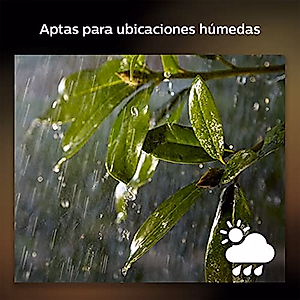 Philips Hue Ludere White Outdoor Security Light, Outdoor Wall Fixture & 2 Hue PAR38 LED Smart Bulbs (Requires Hue Hub, Works with Alexa and More)