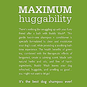 Cloud Star, Buddy Wash Green Tea Bergamot, 16 Ounce