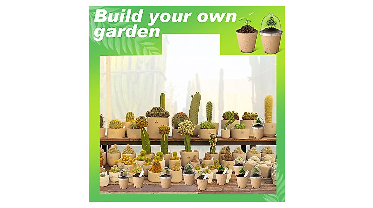 Start Gardening with 50 Peat Pots & Humidity Domes Kit