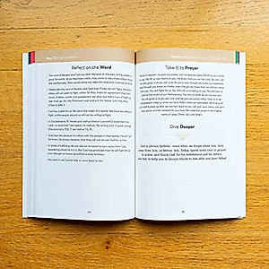 The Bible in a Year Companion, Volume I (Bible in a Year Companion, 1)