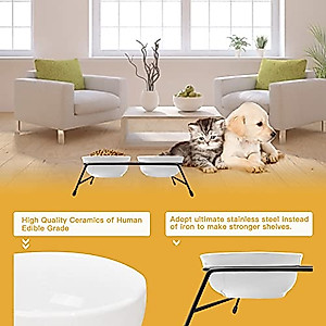 Cat Bowls, Upgraded 13 oz Ceramic Elevated Cat Food Bowls for Food and Water, Raised 2 Cat Dishes with Stainless Steel Stand Non-Slip and Anti-Rust, for Indoor Cats and Small Dog Bowl, Dishwasher Safe