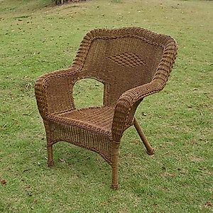 International Caravan Furniture Piece Camelback Resin Wicker Patio Chairs (Set of 2)