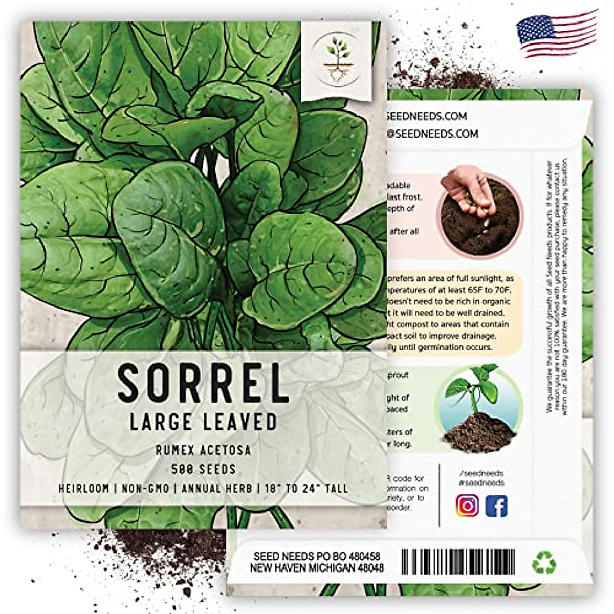 Seed Needs, Large Leaf Sorrel Seeds for Planting (Rumex acetosa) Heirloom, Non-GMO & Untreated, Great for Salads