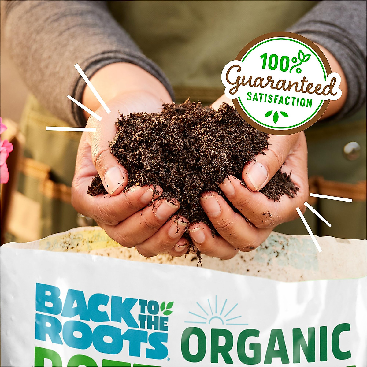 Back to the Roots 100% Organic Potting Mix (6 Quart) | Premium Blend | Made in The USA