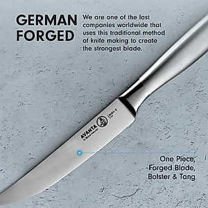 Messermeister Avanta 5” Fine Edge Steak Knife Set - German X50 Stainless Steel - Rust Resistant & Easy to Maintain - Includes 4 Steak Knives