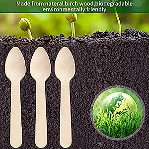 4 inch Mini Wooden Spoons, Biodegradable Compostable Birchwood, Food Grade Disposable Spoons Disposable Wooden Cutlery for Parties, Weddings, Camping 200pcs.