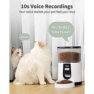 Automatic Cat Feeder, Arspic 4L Auto Cat Food Dispenser with Programmable Timer Feeder and Portion Control Automatic Pet Food Feeder for Small & Medium Cats Dogs with Desiccant Bag & Voice Recorder