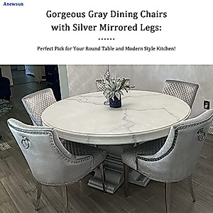 Anewsun Modern Dining Chairs, Light Grey Velvet Upholstered Dining Room Chair with Silver Mirrored Stainless Steel Legs, Set of 2