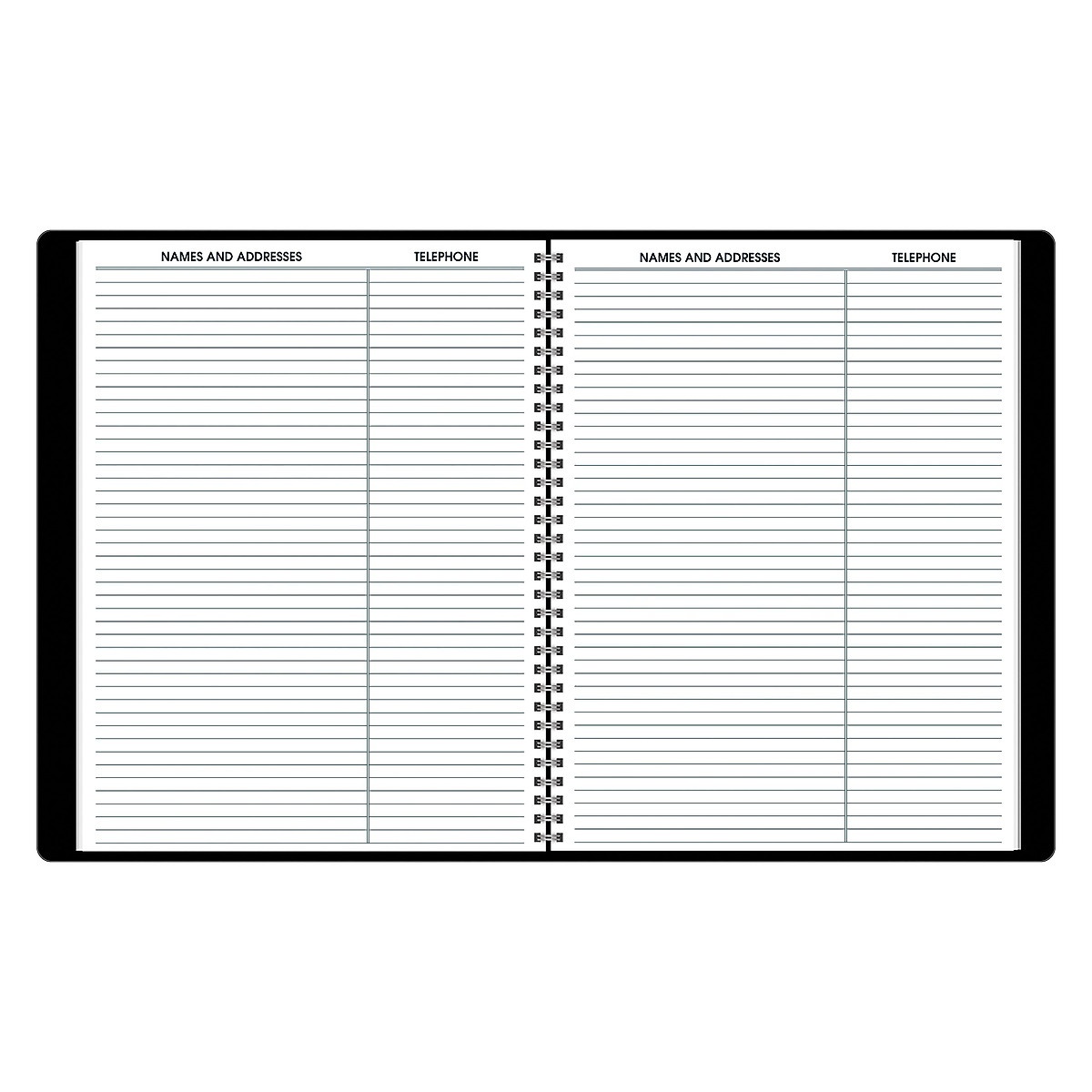AT-A-GLANCE Weekly Planner/Appointment Book, Academic Year, 14 Months, July 2015–August 2016, 8.25 x 10.88 Inch Page Size (70-957-05)