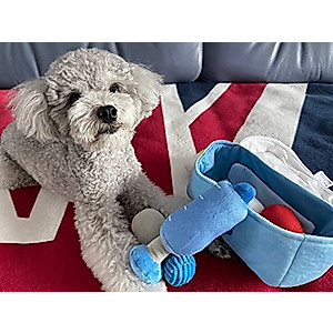 wowmolly Medicine Box Design Plush Chew Dog Toys Including Syringe 3 Pills Tablet Pill Potion Bottle Squeaky Interactive Custom Stuff Pet Toy for Small, Medium Dogs