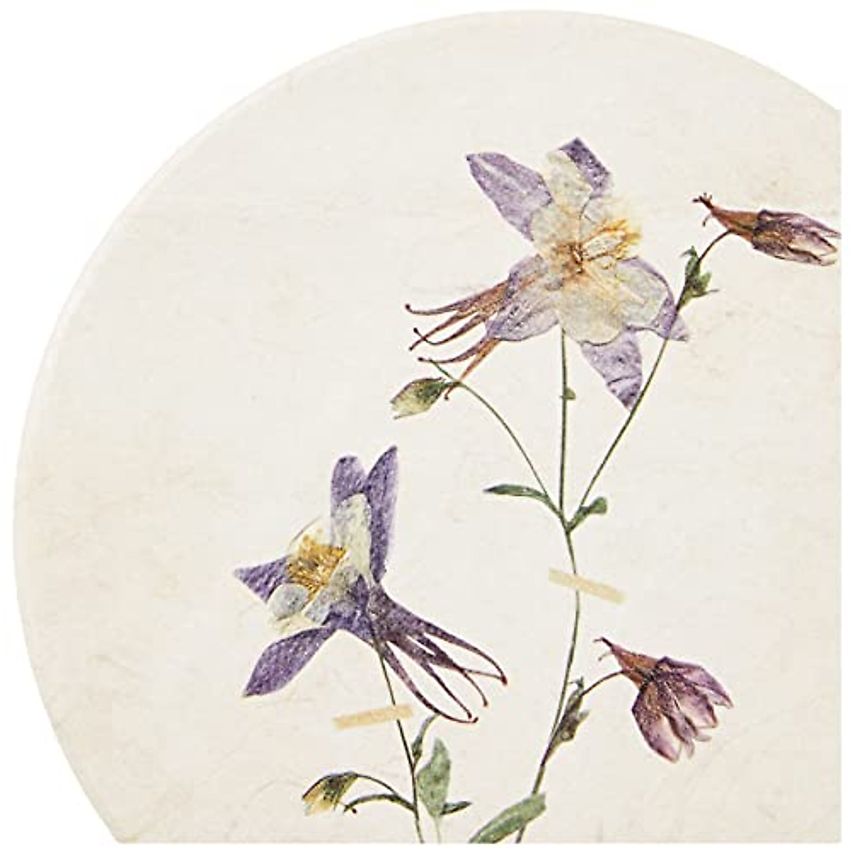 CoasterStone AS459 Drink Coasters, 4.25", Pressed Flowers