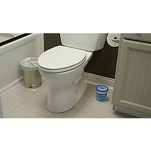 Damprid FG60 Refillable Moisture Absorber, 10.5 oz Twin Pack, White to Off-White, Solid