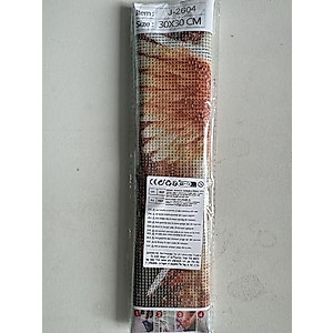 DIY 5D Diamond Art Painting Kit Cartoon Cross Stitch Diamond Art Painting Picture Kit Canvas Diamond Rhinestone Crystal Cross Stitch Embroidery Picture Adult Home Decor Wall Decor (battle angel)