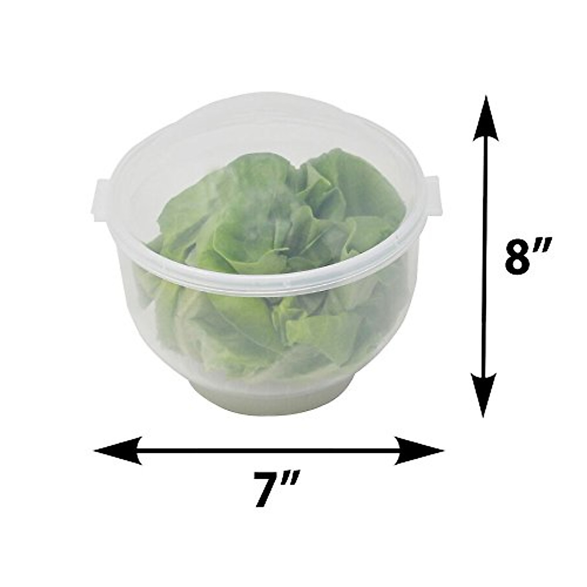 Lettuce Keeper | Vegetable and Fruit Crisper | Lettuce Crisper Salad Keeper Container Keeps your Salads and Vegetables Crisp and Fresh-7" X 8"- by Home-X