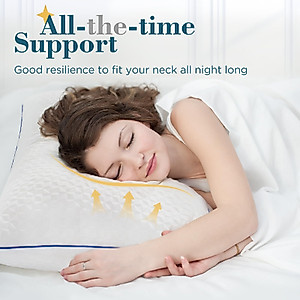 viewstar Pillows Queen Size Set of 2, Firm and Supportive Shredded Memory Foam Pillows, Adjustable Loft Back Side Sleeper Bed Pillow with Washable Removable Cover, 20"x 30"