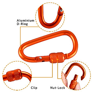 Zalava 2" 10 pcs D-Clip Durable Locking Carabiner Clips Keychain Clip, Spring-Loaded Aluminum Keychain Clip Hook, Screwgate Locking Carabiner Clip Outdoor, Indoor, or Dog Leash Round