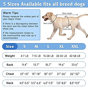 Dog Surgery Recovery Suit with 2Pcs Dog Diapers for Surgery Female Male Dogs, Pet Recovery Shirt Dog Abdominal Wound Bandages, Substitute E-Collar & Cone, Prevent Licking Dog Surgery Suit Blue L