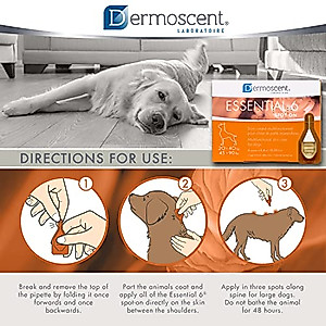 Dermoscent Essential 6 spot-on - Dog Skin Care for Dandruff & Allergy Relief with Vitamin E Oil - Anti Itch for Dogs - Natural Ingredients for Sensitive Skin - Dogs 20-40 kg - 4 Pipettes of 2.4 ml