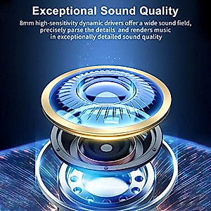 Wireless Earbuds Bluetooth Headphones 5.2 with 4-Mics Clear Call 50H Playback Waterproof Stereo Earphones with Wireless Charging Case IPX5 Waterproof in-Ear Headset for Workout/Home/Office Black