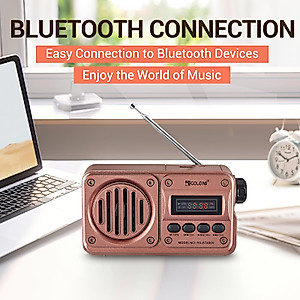 Gelielim Portable Radio with Bluetooth, FM Radio with Loud Volume, Digital Radio Retro Bluetooth Speaker with LED Display Support TF Card/USB, Present for Grandparents for Kitchen Outdoor (No AM)