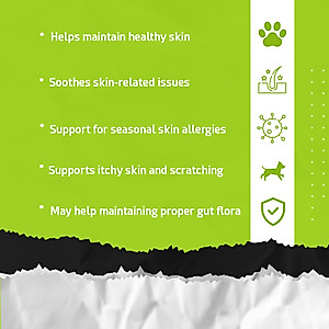 PointPet Vegan Skin Support for Dogs, 90 Count - Immune & Allergy Supplement with Omega 3, Biotin & Vitamin E - Itchy Skin Relief, Peanut Butter Flavor