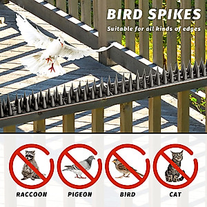 Grovind 19 FT Pigeon Spikes Plastic Bird Spikes Deterrent Birds, Crow, Cat and Raccoon, Deterrent Spikes for Fences and Roof to Keep Birds Away