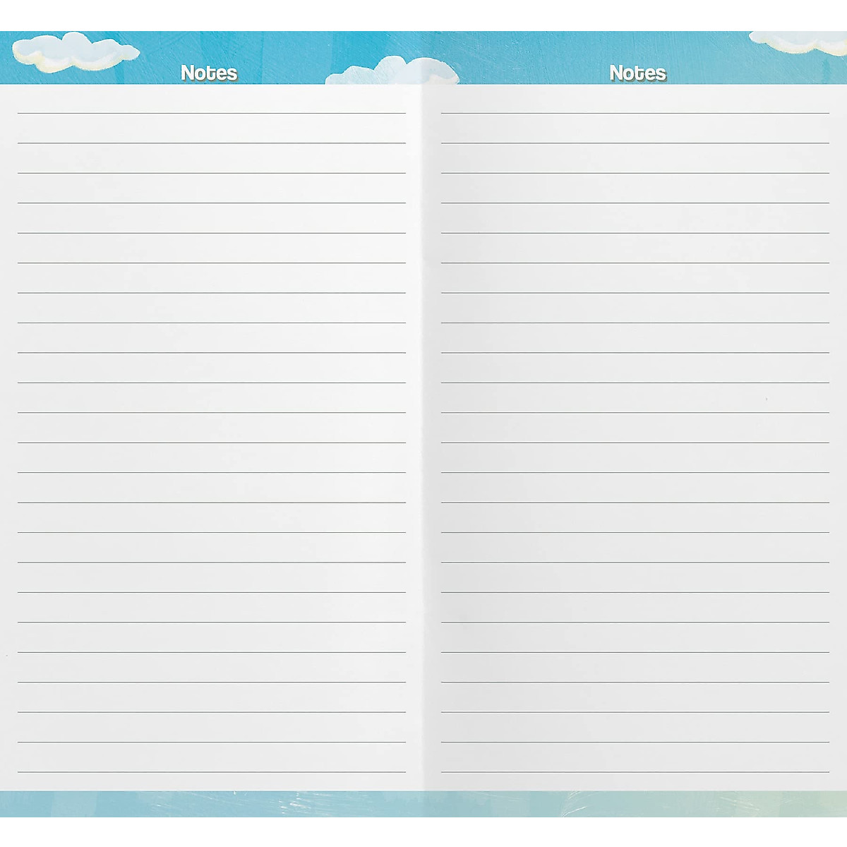 2023-2024 Grumpy Cat Pocket Planner