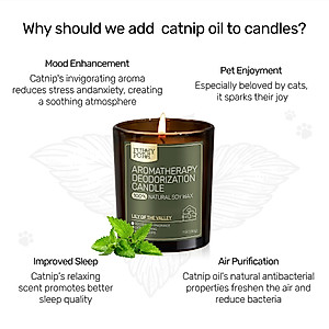 Pet Odor Eliminator Candle, Lavender Cedar Fragrance, Natural Soy Candle with Catnip Essential Oil, Non-Toxic, Pet Friendly & Pet Safe, Pet Lover Gifts, 60-Hour Burn Time, 7 oz