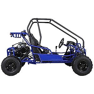 HHH Gokart GK125 is a125CC Gokart Fully Automatic Gas 2 Seater Kandi Mini Raptor gokart with Reverse for Youth (Blue)
