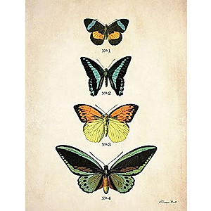 Posterazzi PDXSB888SMALL Artwork, Medium, Multi