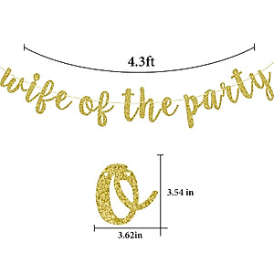 Wife of The Party Banner Bachelorette Party Decorations Bridal Shower Sign Bride to Be Future Mrs Decor