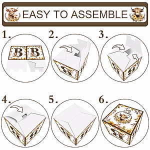 Highland Cow Baby Shower Decorations, Highland Cow Theme Balloons Box Party Decorations