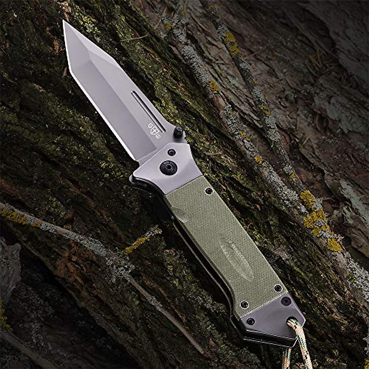 Bundle of 2 Items - Small Pocket Knife - Folding Wallet Knife - Mini Tactical Knife with Money Clip - Cool Dragon Blade Credit Card - Best for Camping Hiking EDC Work Knife Birthday Christmas Gifts