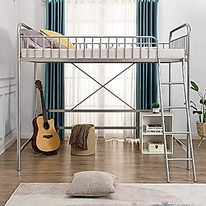 Twin Loft Bed with Full-Length Guardrail and Ladder (Silver)