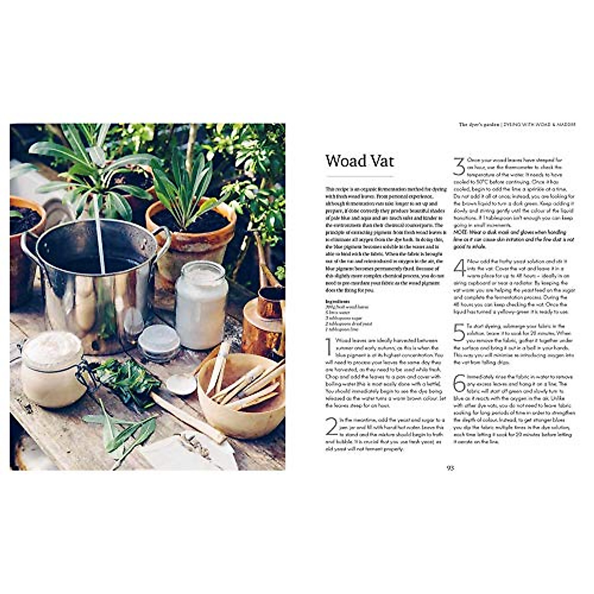 The Wild Dyer: A Maker's Guide to Natural Dyes with Projects to Create and Stitch