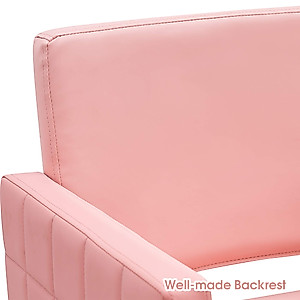 BarberPub Salon Chair for Hair Stylist,Hydraulic Barber Styling Chair, Beauty Spa Equipment 8821 (Pink)