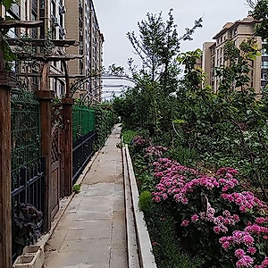 Metal Garden Arch Heavy Duty Arbor Trellis Wide 120Cm 140Cm 180Cm 240Cm 300Cm 350Cm Wedding Rose Arch Decoration Balloon Support Rack,Green,W1.2M*H2.2M