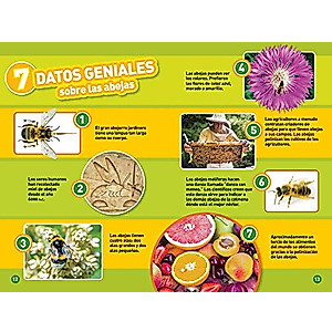 National Geographic Readers: Las Abejas (L2) (Spanish Edition)