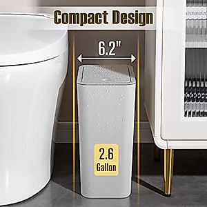 TrashAid Bathroom Trash Can with Lid,2.6 Gallon / 10 Liter Small Garbage Can with Press Top Lid,Plastic Wastebasket with Pop-up Lid for Toilet,Office,Bedroom,Living Room,Grey (AMZUSIJS01GRY040012)