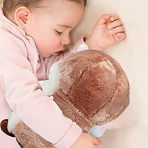 AEECASI Cute Otter Stuffed Animal Plush Doll, Otter Plushie Christmas Birthday Soft Toy Gifts for Kids, Sea Otter Cuddle Pillow Home Decor, 11.8"