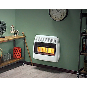Dyna-Glo IR30PMDG-1 30,000 BTU Liquid Propane Infrared Vent Free Wall Heater White