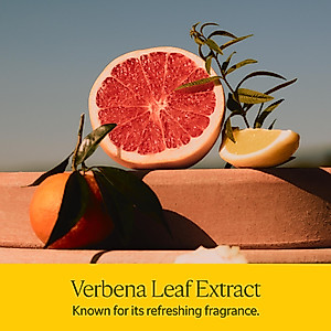 L'OCCITANE Citrus Verbena Eau de Toilette: Sparkling and Zesty Fragrance, Enriched with Verbena Extract from Provence, 3.3 Fl. Oz